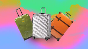 Types Of Luggage: Unlocking Variety