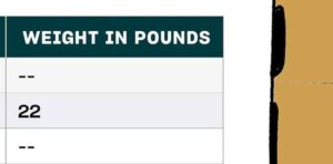 Southwest Carry-On Luggage Dimensions Guide - Logds