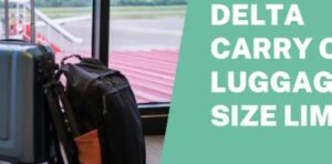 Delta Airlines: Carry-On Weight Limit Guide - Logds